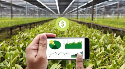 Inflation Impact on Agriculture: What are the Effects